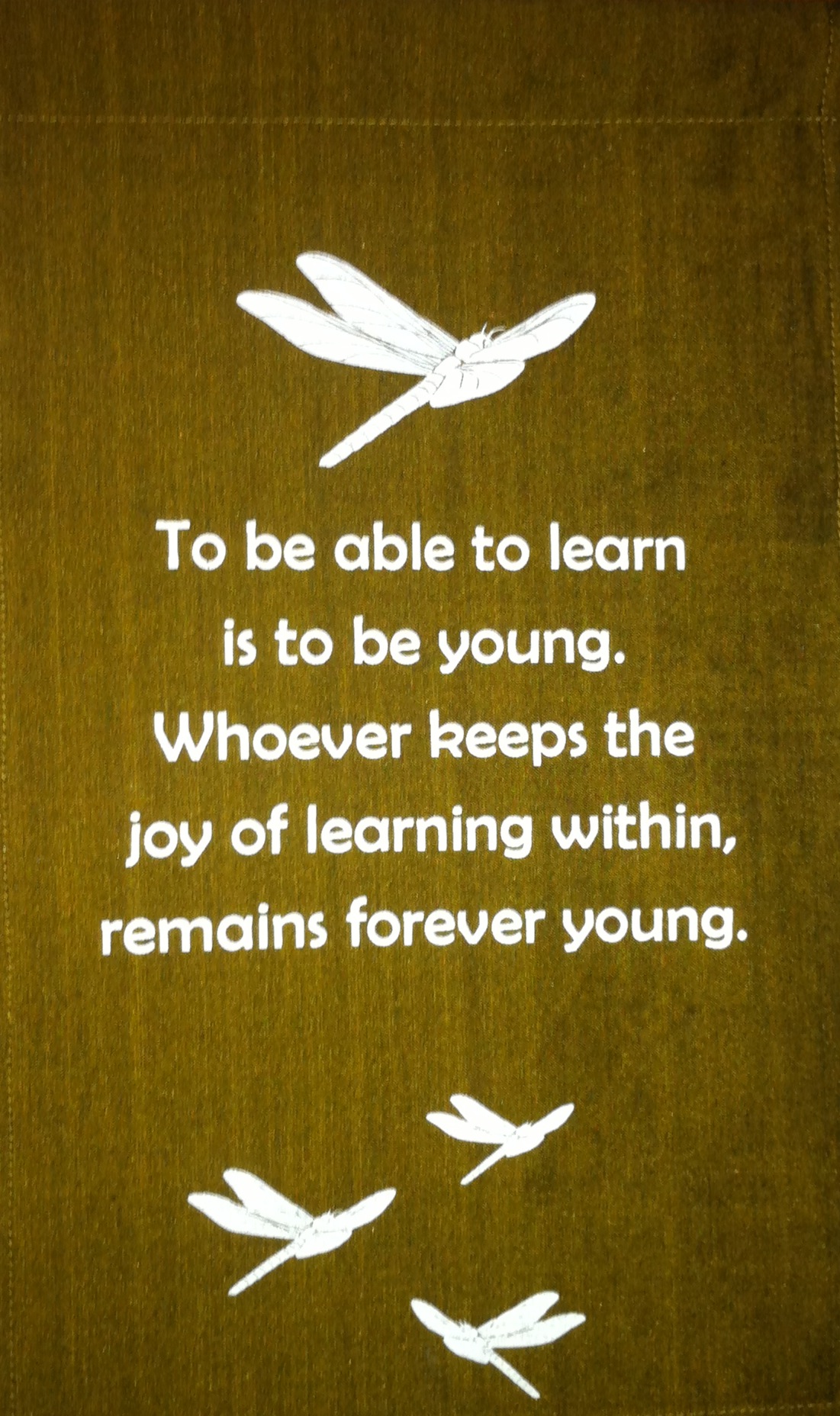 Lifelong Learning | Suzanne Cook PhD Lifelong Learning | Suzanne Cook PhD